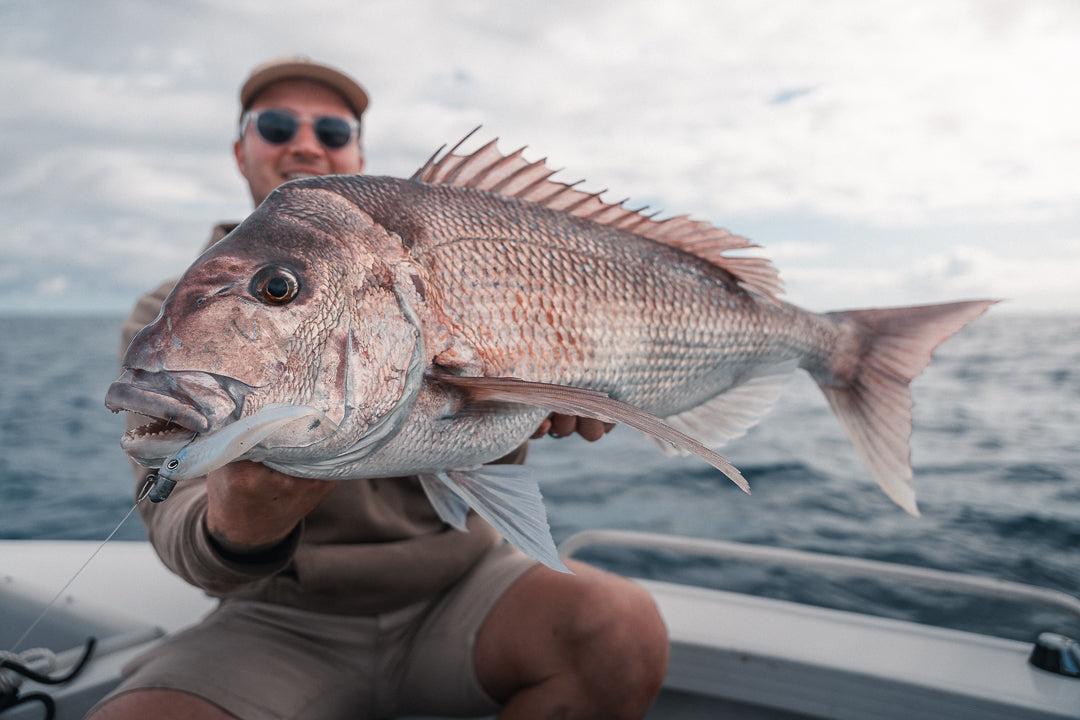 SNAPPER – Cast Fishing Co